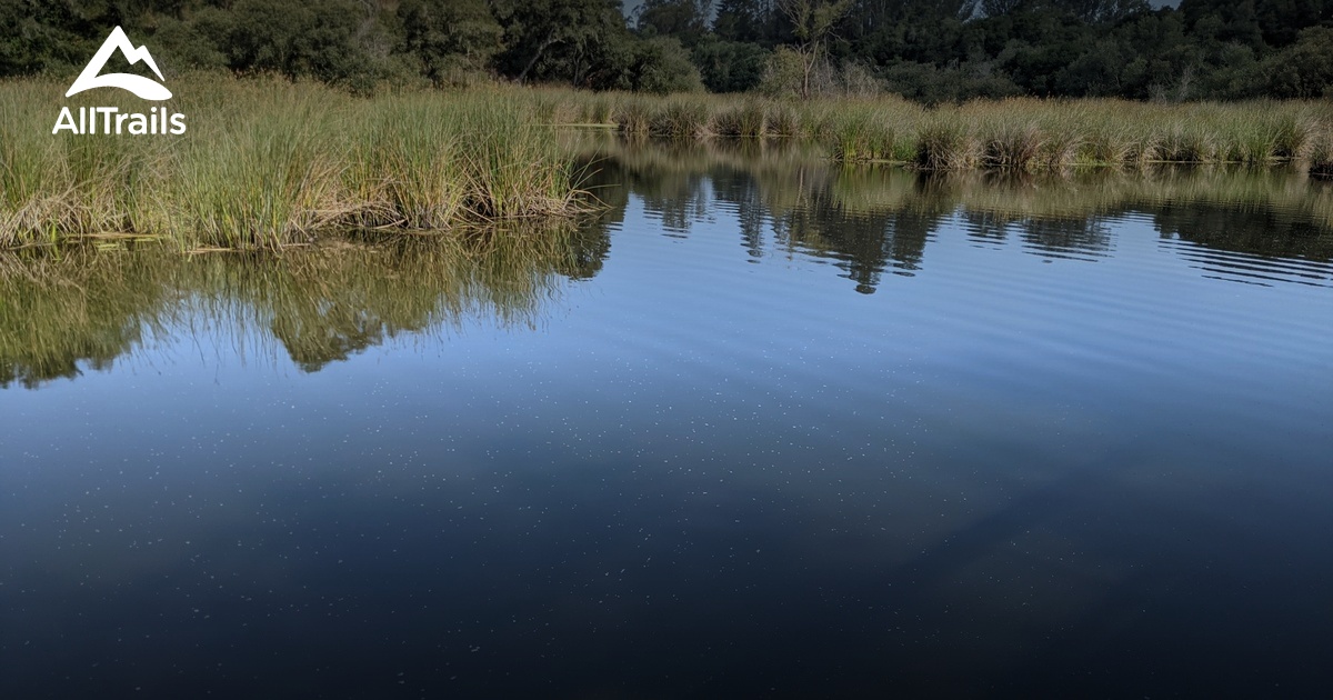 Best hikes and trails in Pinto Lake County Park | AllTrails