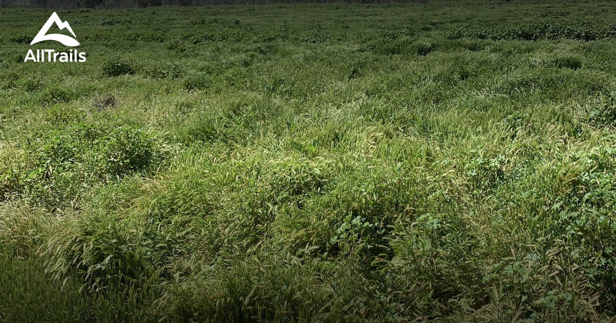 Best hikes and trails in Prado Regional Park | AllTrails