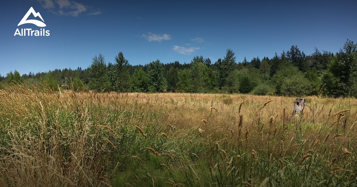 Best hikes and trails in Ross Fields | AllTrails