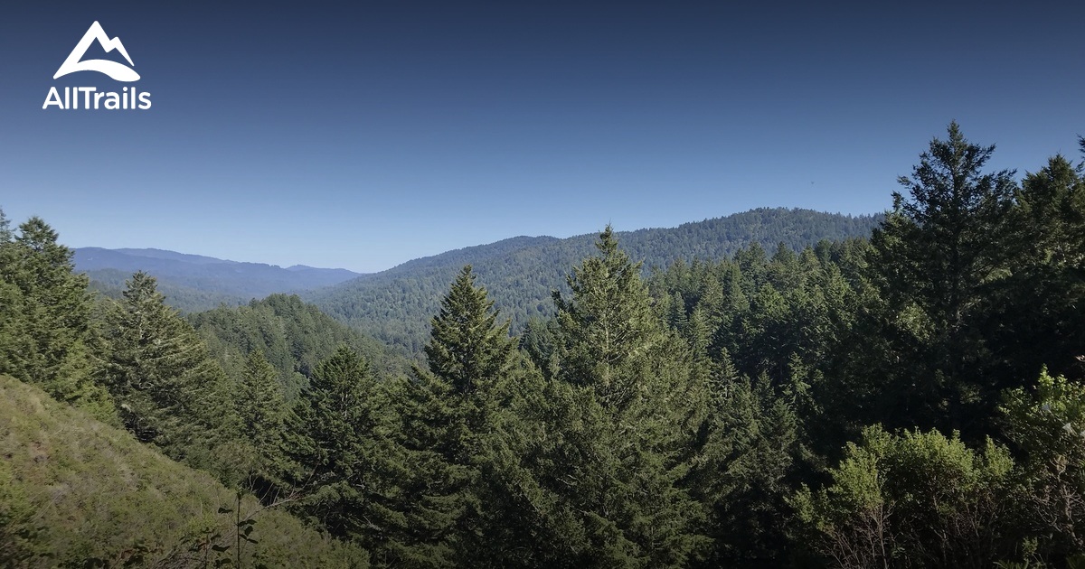 Best Trails in San Mateo County Memorial Park - California | AllTrails