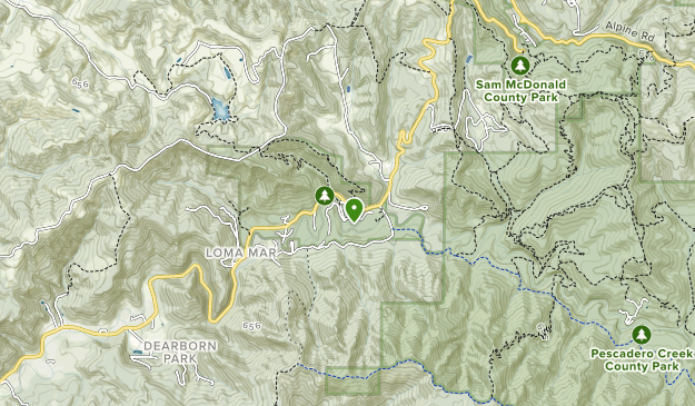 Best Trails in San Mateo County Memorial Park - California | AllTrails