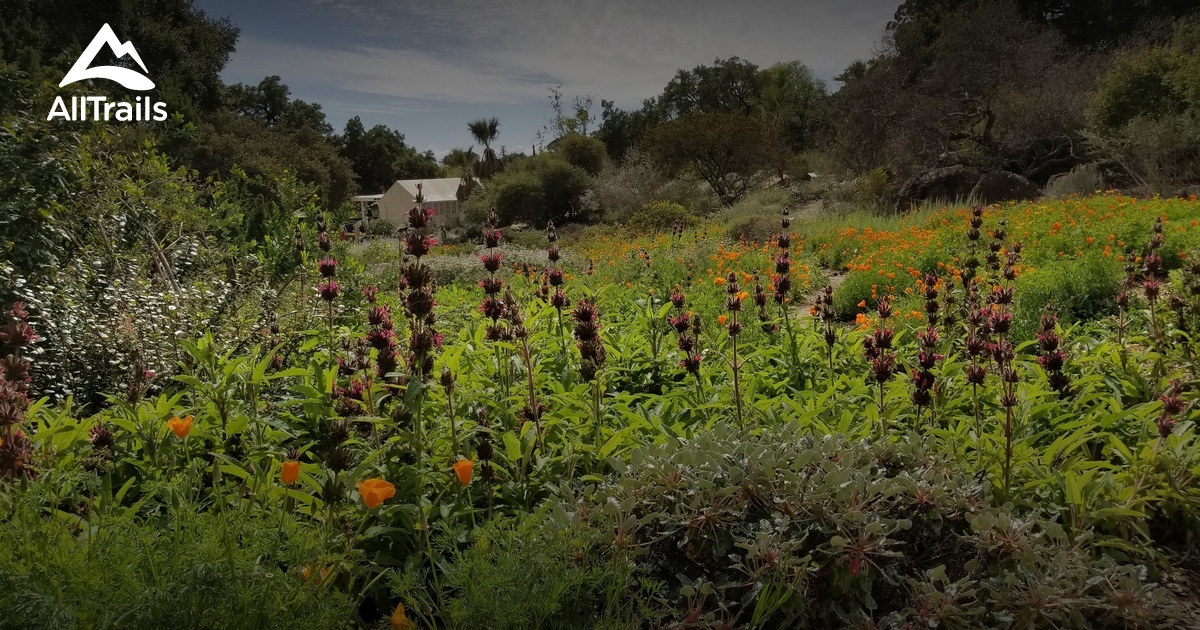 Best hikes and trails in Santa Barbara Botanic Gardens | AllTrails
