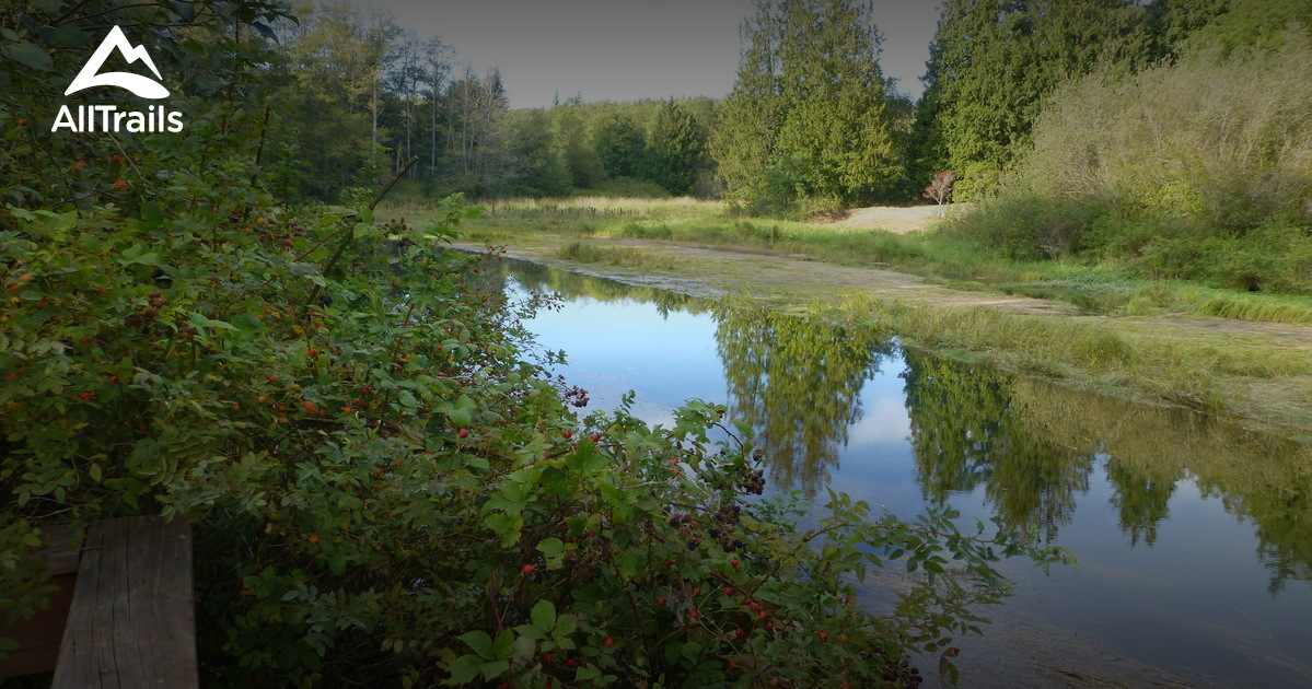 Best hikes and trails in Scandia Knoll Park | AllTrails