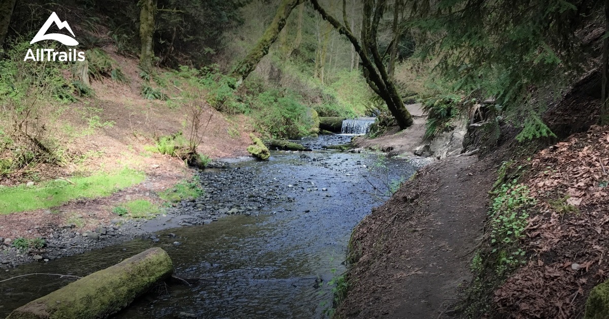 Best hikes and trails in Shoreview Park | AllTrails