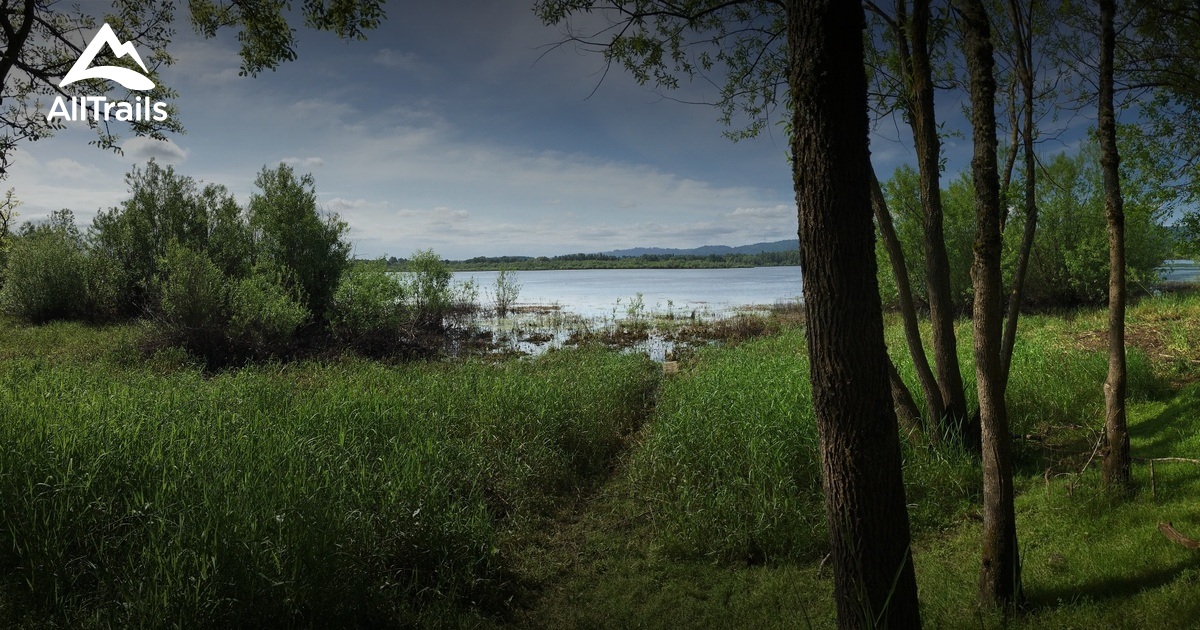 Best bird watching trails in Smith & Bybee Lakes Park | AllTrails