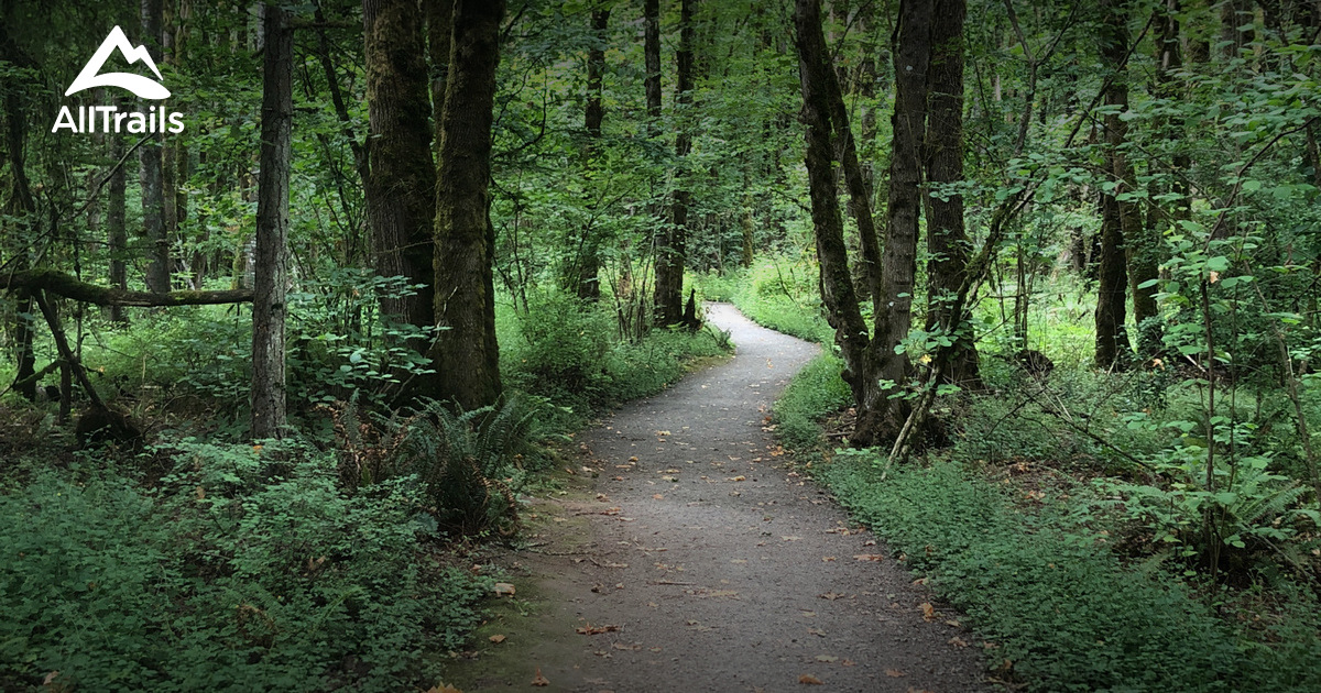 Best hikes and trails in Springbrook Park | AllTrails