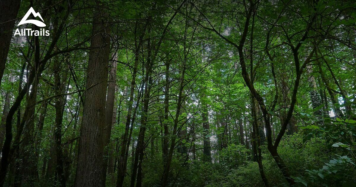 Best hikes and trails in Wilderness Park | AllTrails