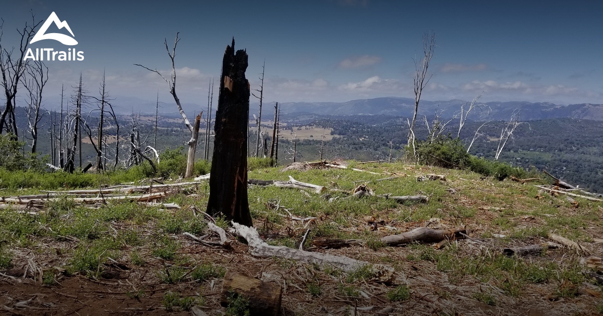 Best Trails in William Heise County Park - California | AllTrails