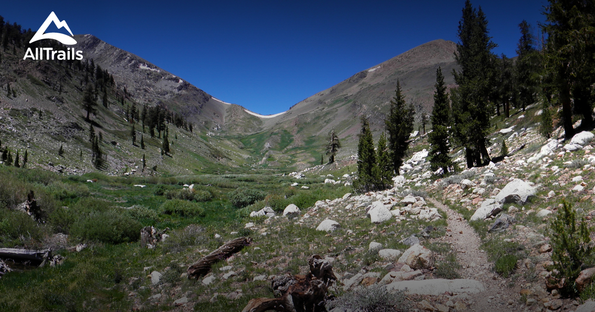 10 Best forest trails in John Krebs Wilderness (draft boundary) | AllTrails