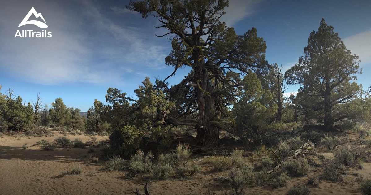 Best Trails in Oregon Badlands Wilderness - Oregon | AllTrails