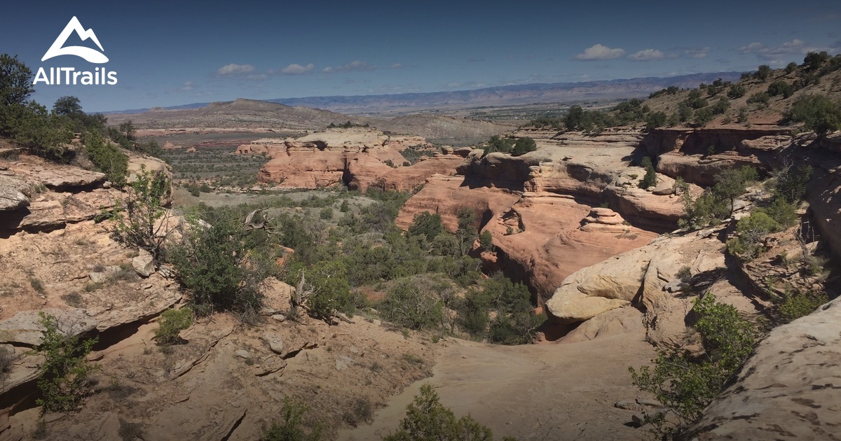 Best Trails in Black Ridge Canyons Wilderness - Colorado | AllTrails