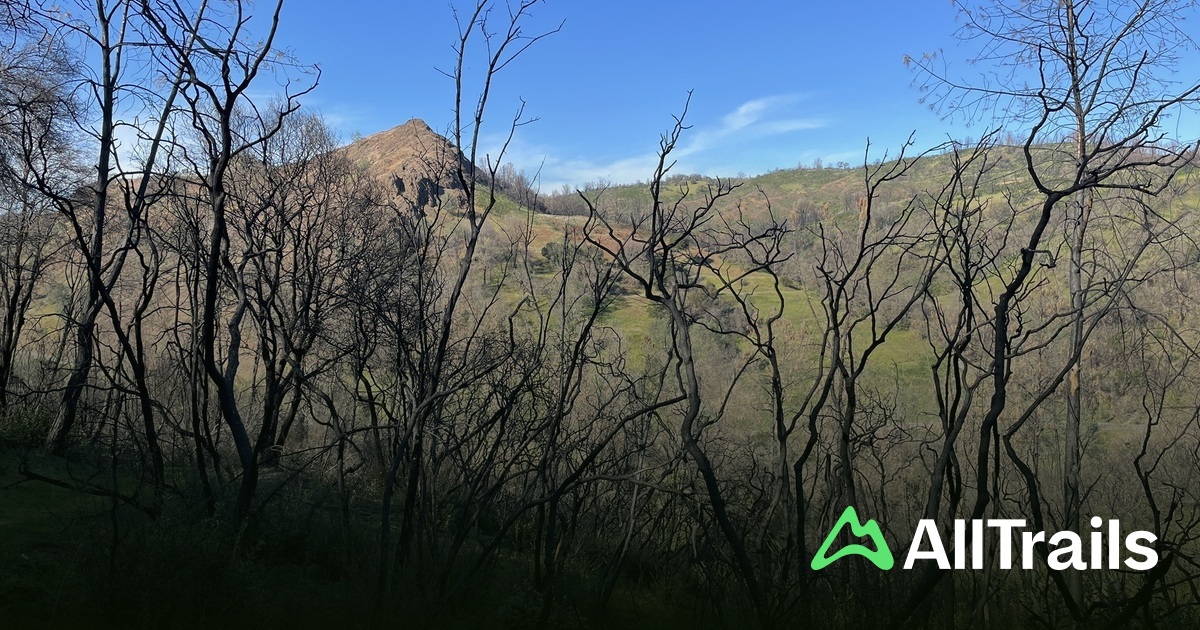 Best hikes and trails in Cedar Roughs Wilderness | AllTrails