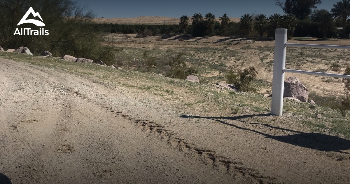 Best hikes and trails in Chuckwalla Mountains Wilderness | AllTrails