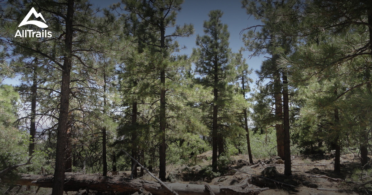 Best hikes and trails in Mount Trumbull Wilderness | AllTrails