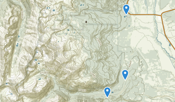 Best Trails in Mount Massive Wilderness | AllTrails.com