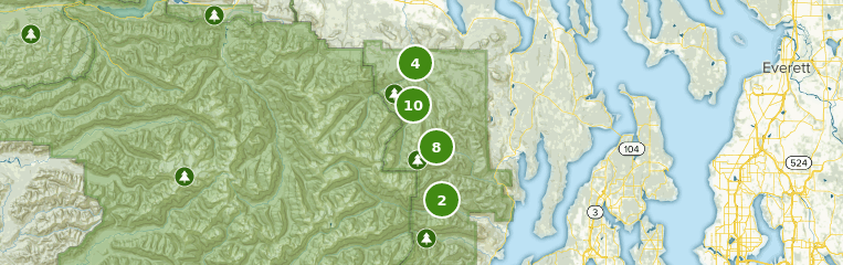 Best Trails in Buckhorn Wilderness - Washington | AllTrails