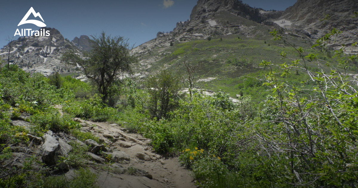 Best Trails in Ruby Mountains Wilderness - Nevada | AllTrails