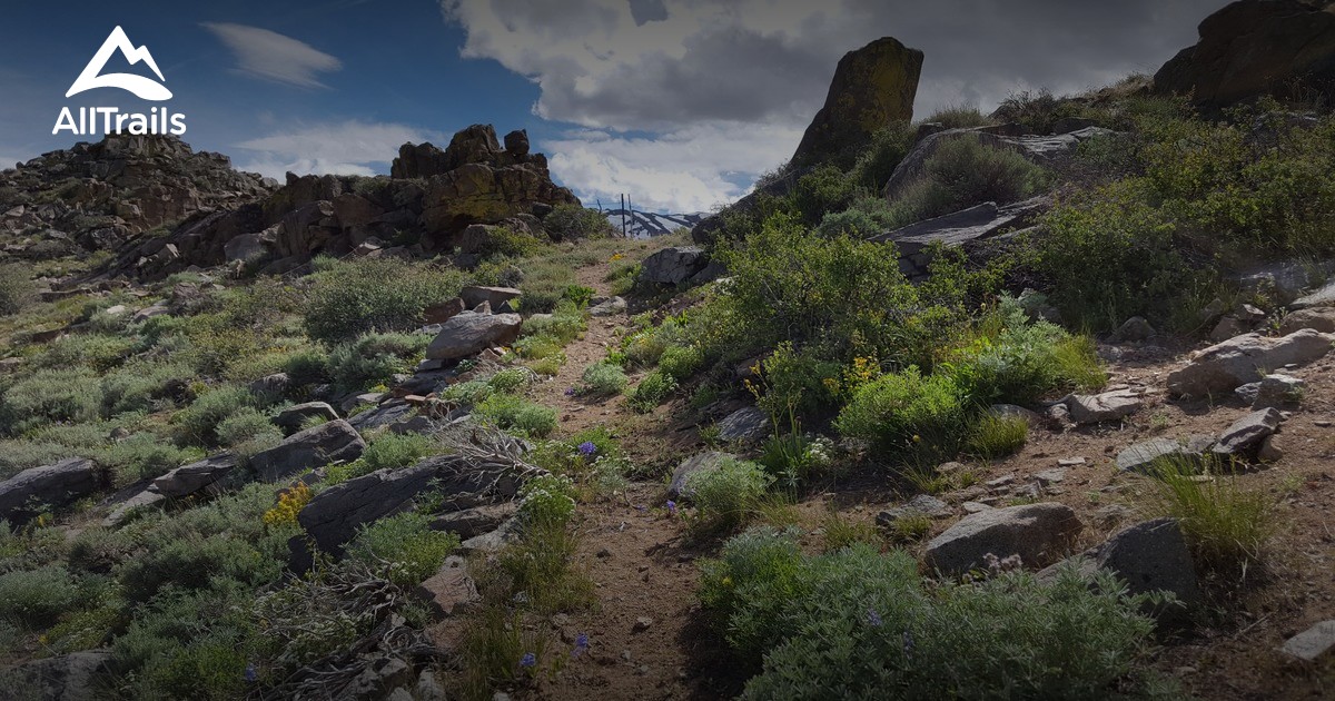 Best Trails in Santa Rosa-Paradise Peak Wilderness - Nevada | AllTrails