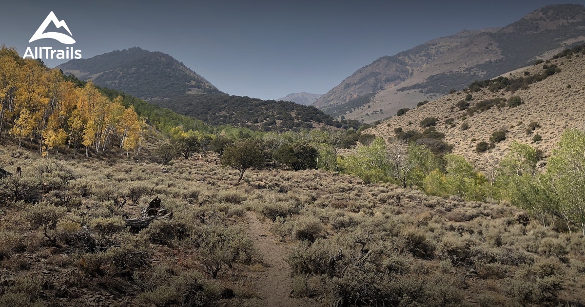 Best hikes and trails in Alta Toquima Wilderness | AllTrails