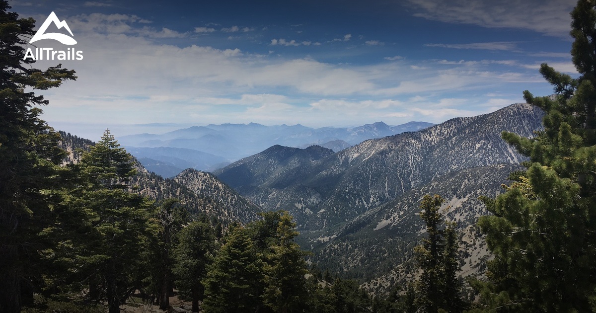 Best Trails in Cucamonga Wilderness - California | AllTrails