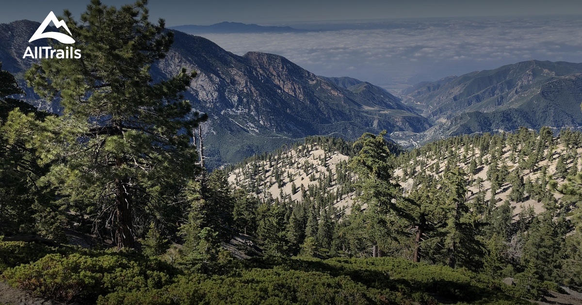 Best Trails in Cucamonga Wilderness - California | AllTrails