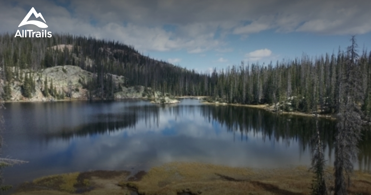 Best Trails in Mount Zirkel Wilderness - Colorado | AllTrails