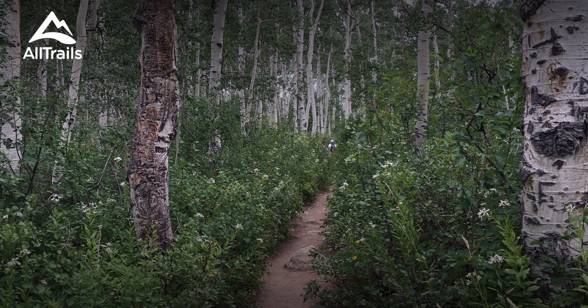 Best Trails in Mount Zirkel Wilderness - Colorado | AllTrails