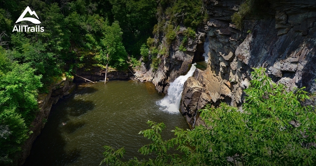 Best Trails in Linville Gorge Wilderness - North Carolina | AllTrails