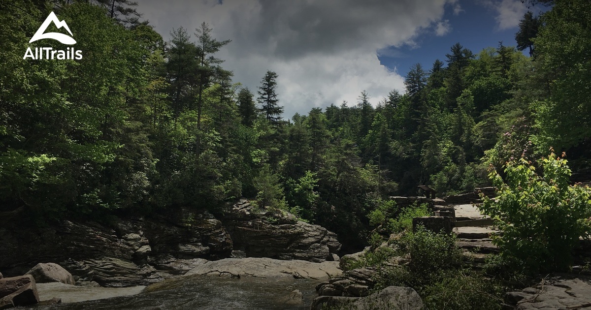 Best Trails in Linville Gorge Wilderness - North Carolina | AllTrails