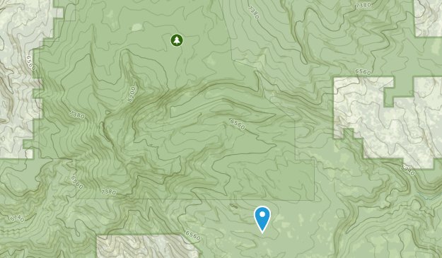 Best Trails in Gearhart Mountain Wilderness - Oregon | AllTrails