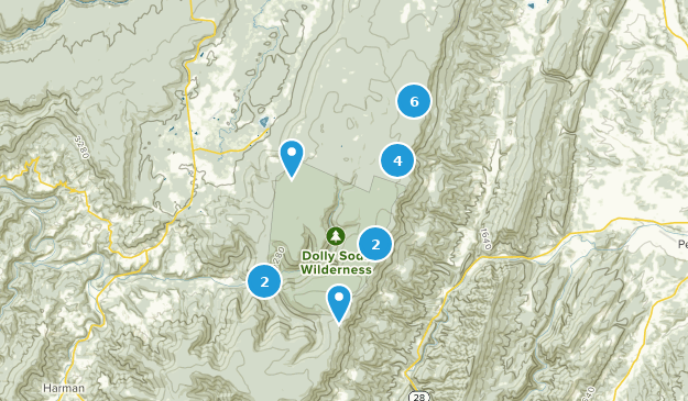 Best Trails In Dolly Sods Wilderness West Virginia Alltrails