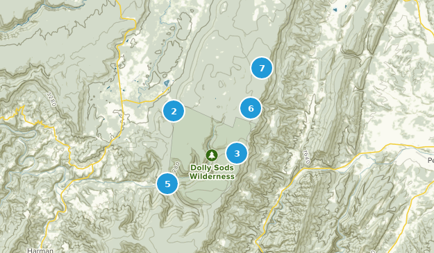 Best Trails in Dolly Sods Wilderness - West Virginia | AllTrails