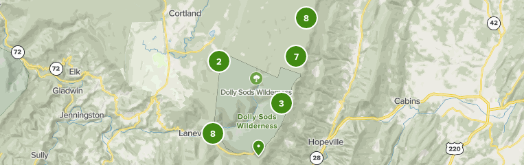 Best Trails In Dolly Sods Wilderness West Virginia Alltrails