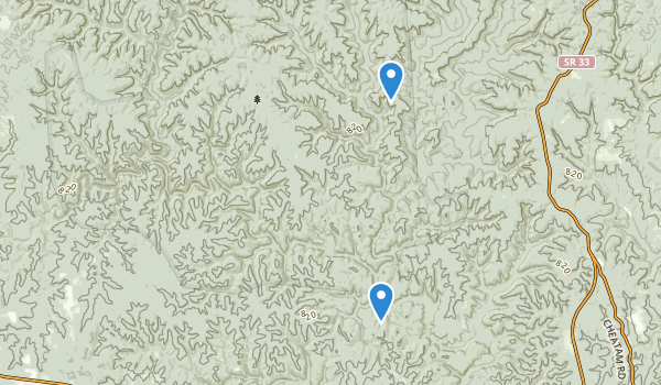 Best Trails in Sipsey Wilderness | AllTrails.com