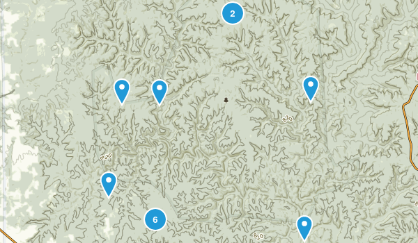 Best Trails in Sipsey Wilderness - Alabama | AllTrails