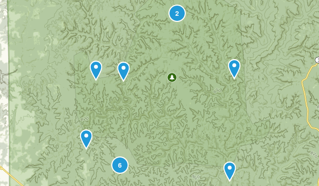 Best Trails in Sipsey Wilderness - Alabama | AllTrails