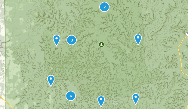 Best Trails in Sipsey Wilderness - Alabama | AllTrails