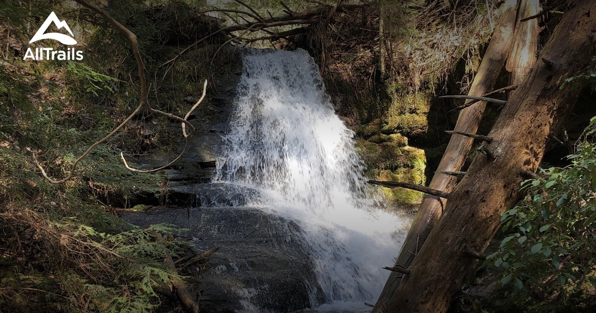 Best Trails in Sipsey Wilderness - Alabama | AllTrails