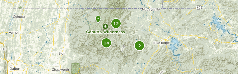 Best Trails in Cohutta Wilderness - Georgia | AllTrails