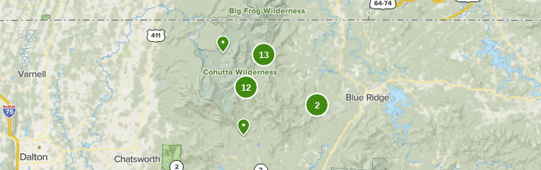 Best Trails in Cohutta Wilderness - Georgia | AllTrails