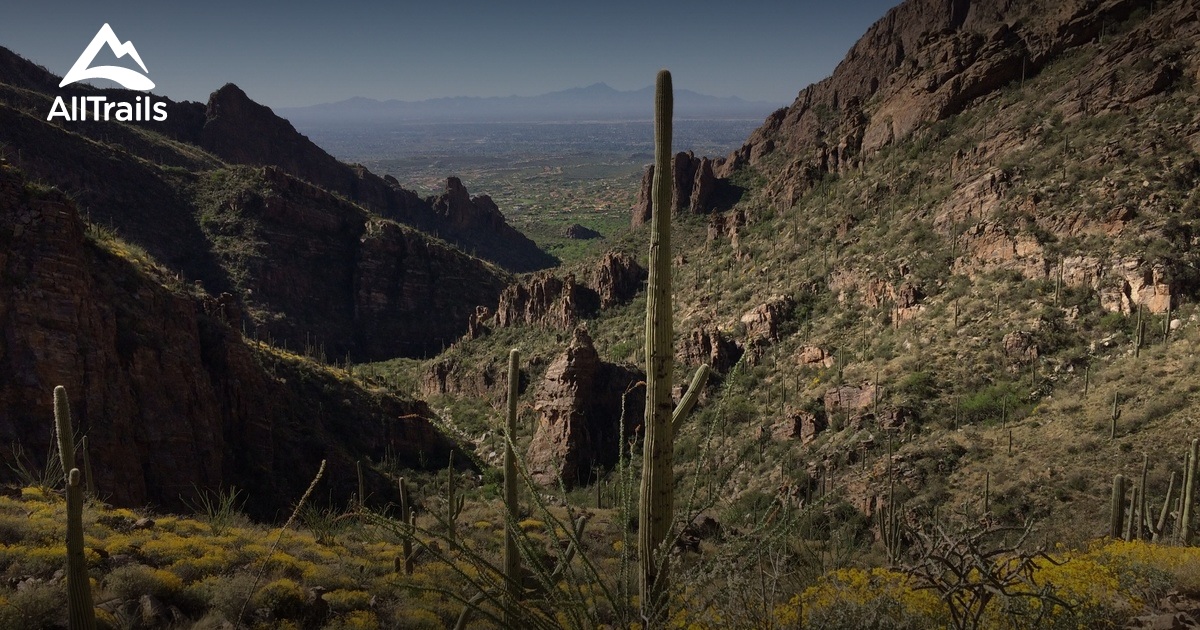 Best Trails in Pusch Ridge Wilderness - Arizona | 792 Photos & 486 ...