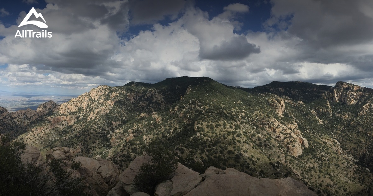 Best Trails in Pusch Ridge Wilderness - Arizona | AllTrails