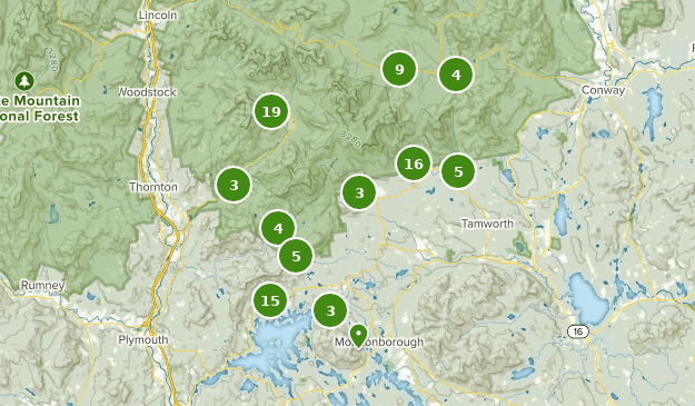 Best Trails in Sandwich Range Wilderness - New Hampshire | AllTrails