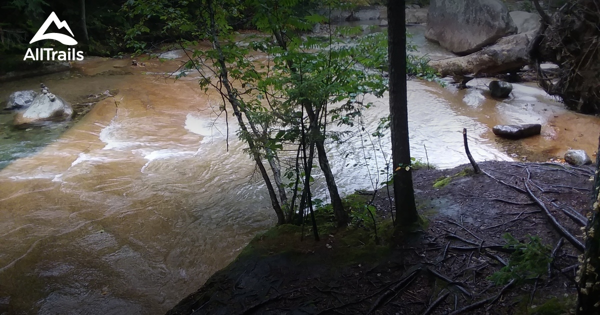 10 Best hikes and trails in Sandwich Range Wilderness | AllTrails