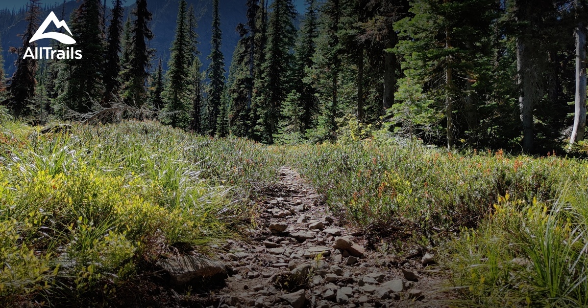 Best hikes and trails in Rattlesnake Wilderness | AllTrails