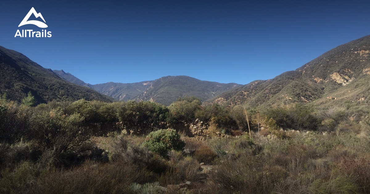 Matilija Wilderness: de beste routes om te wandelen | AllTrails