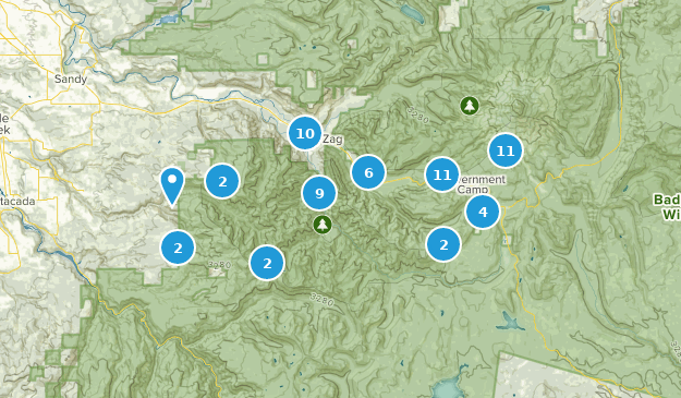 Best Trails in Salmon-Huckleberry Wilderness - Oregon | AllTrails