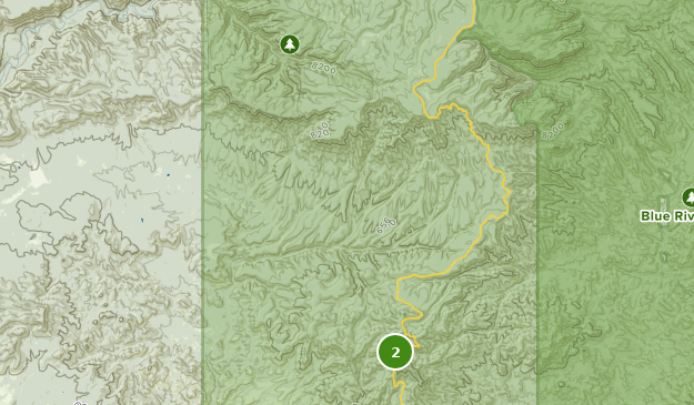 Best Trails in Bear Wallow Wilderness - Arizona | AllTrails