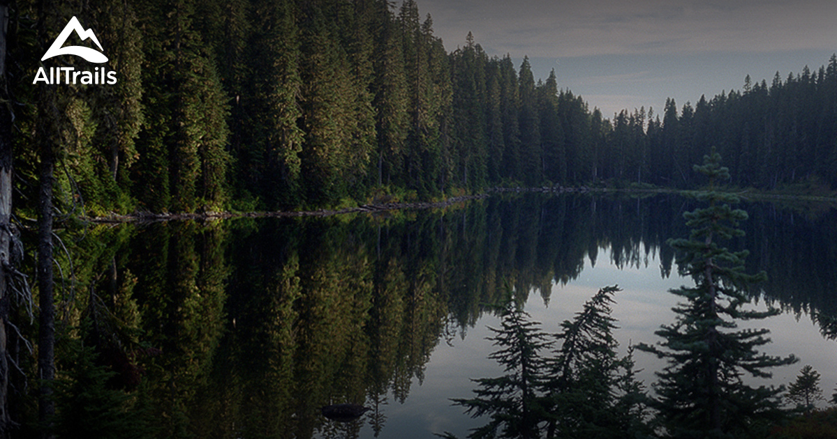 Best Trails in Indian Heaven Wilderness - Washington | AllTrails
