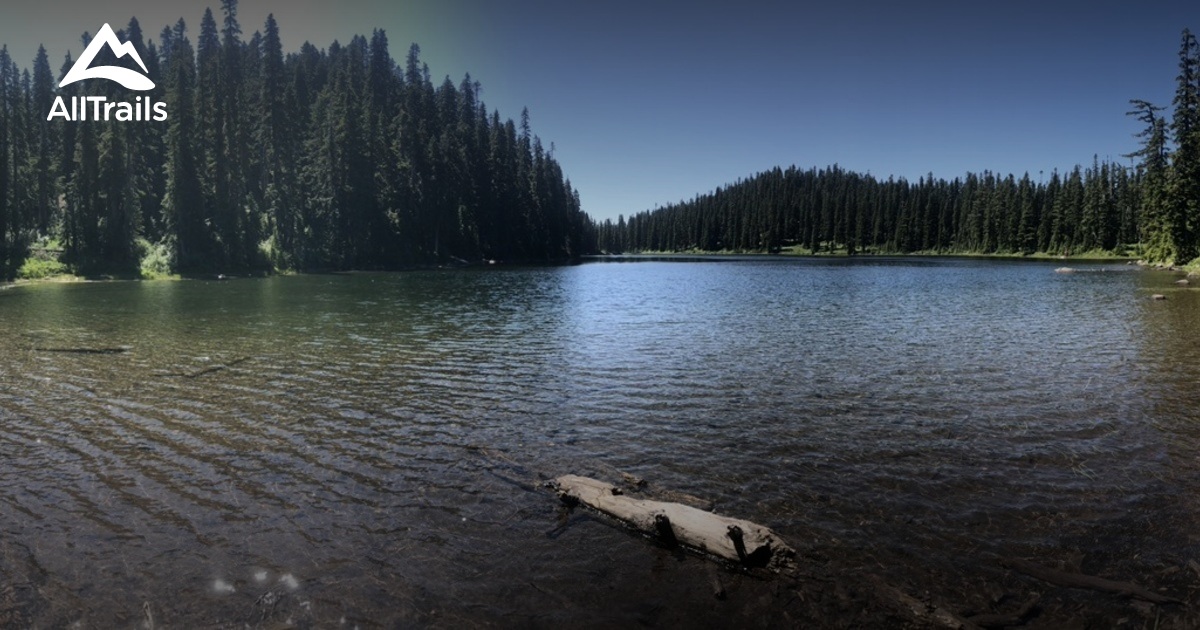 Best Trails in Indian Heaven Wilderness - Washington | AllTrails